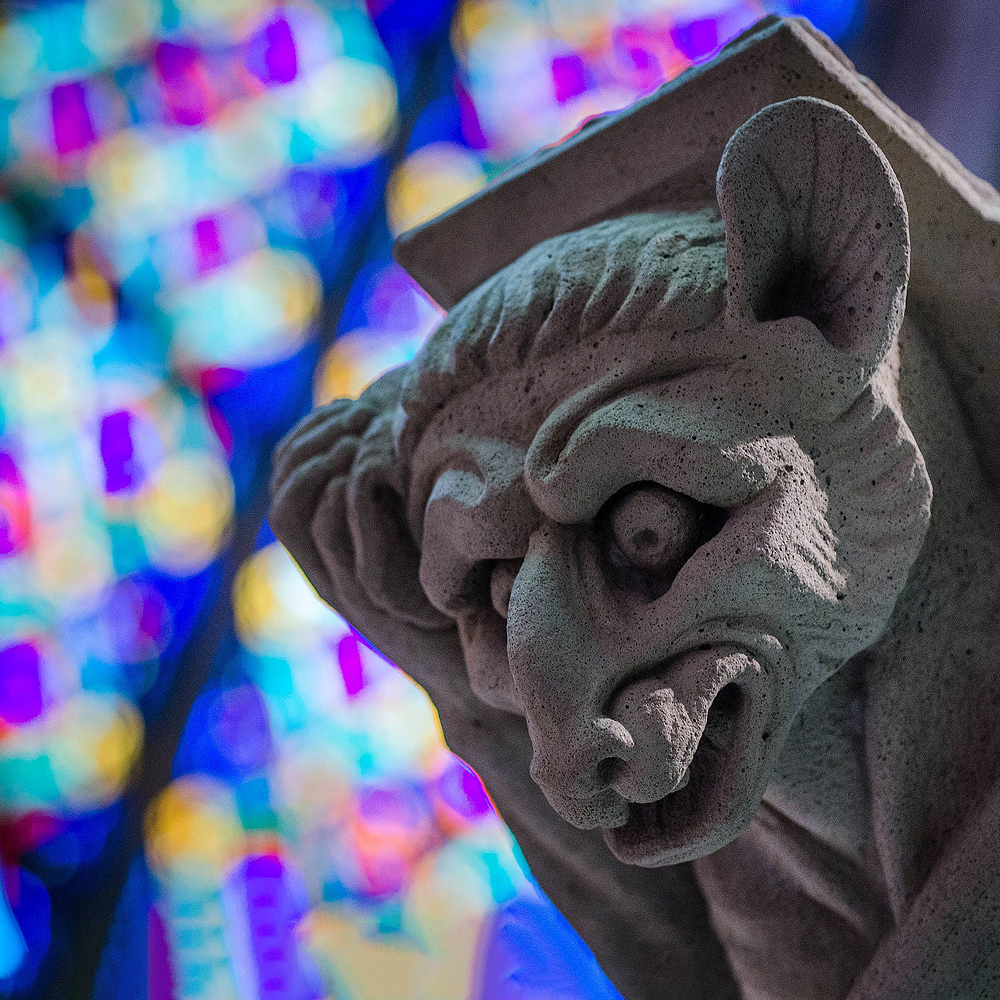 Mariendom Linz: Entdecken & Erleben | Führungen, Rundgang und mehr