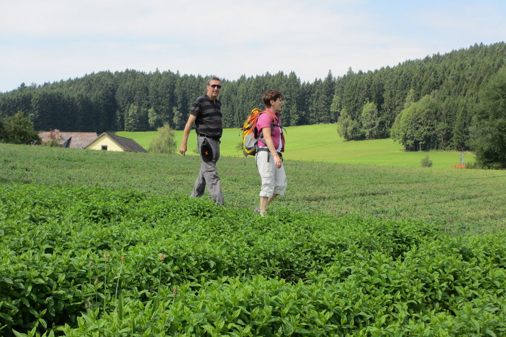 Redaktionsausflug - Pfarre Steyr-Resthof