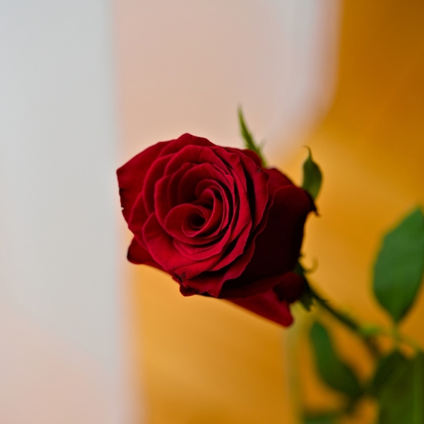 „Dank-Paar“ Segensfeier für Paare