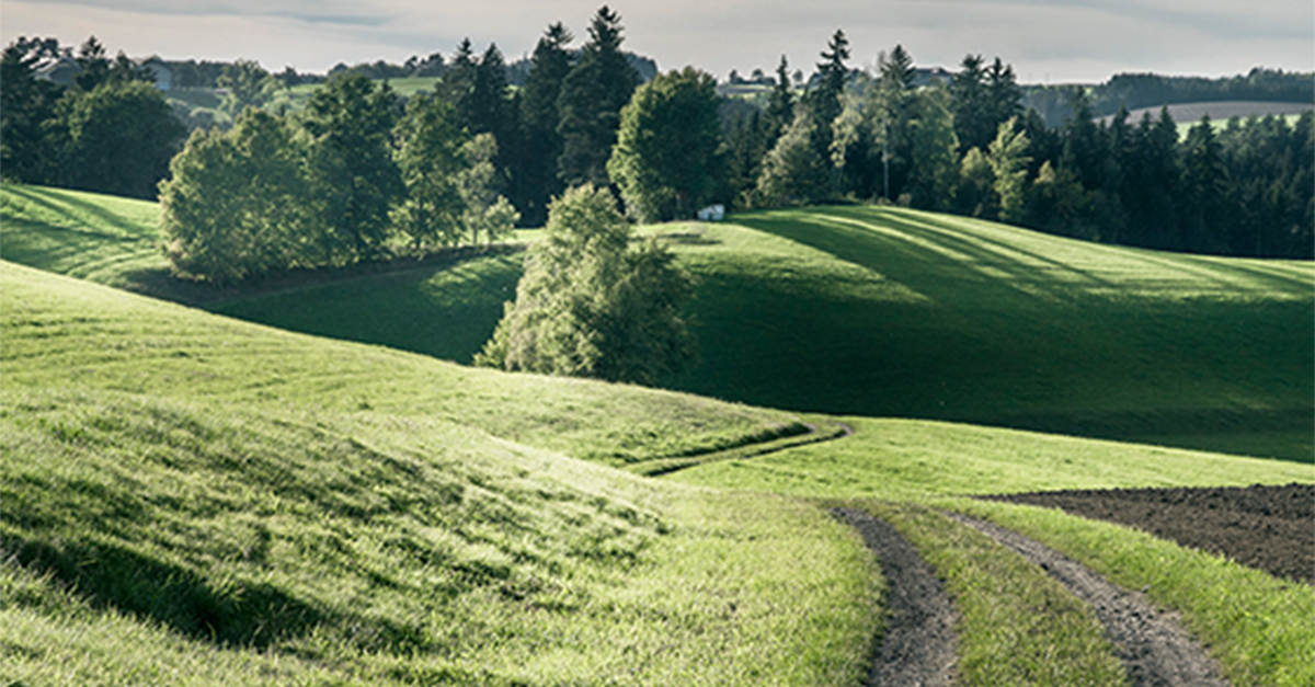 Pilgern im „Granitland“ mit neuem Wegbegleiter